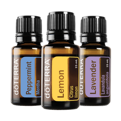 doTERRA Virtual Office Member Account Sign In – dōTERRA Essential Oils