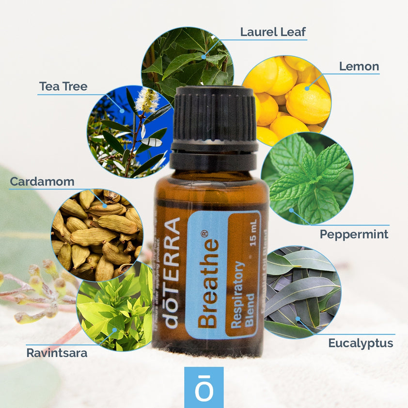 dōTERRA Breathe® Respiratory Blend - 15ml – dōTERRA Essential Oils